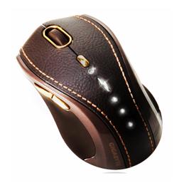 GIGABYTE VGA USA State Fair 2! | News - GIGABYTE Global