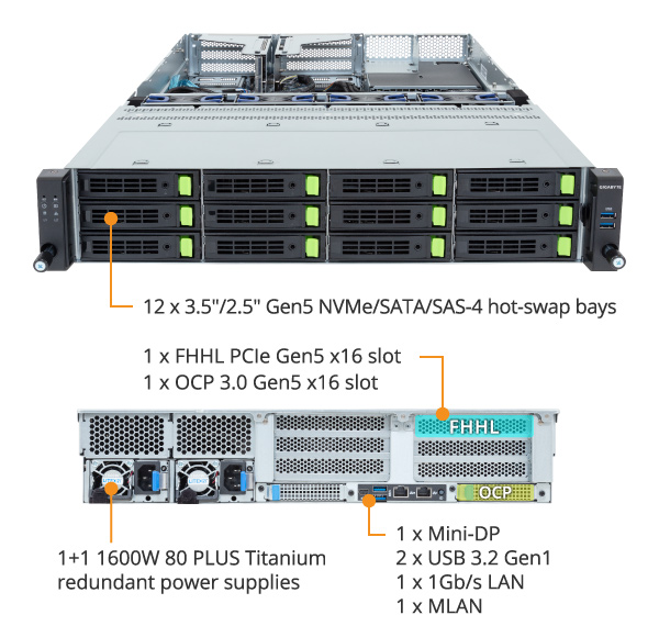 R264-S30-AAV1 Product Overview